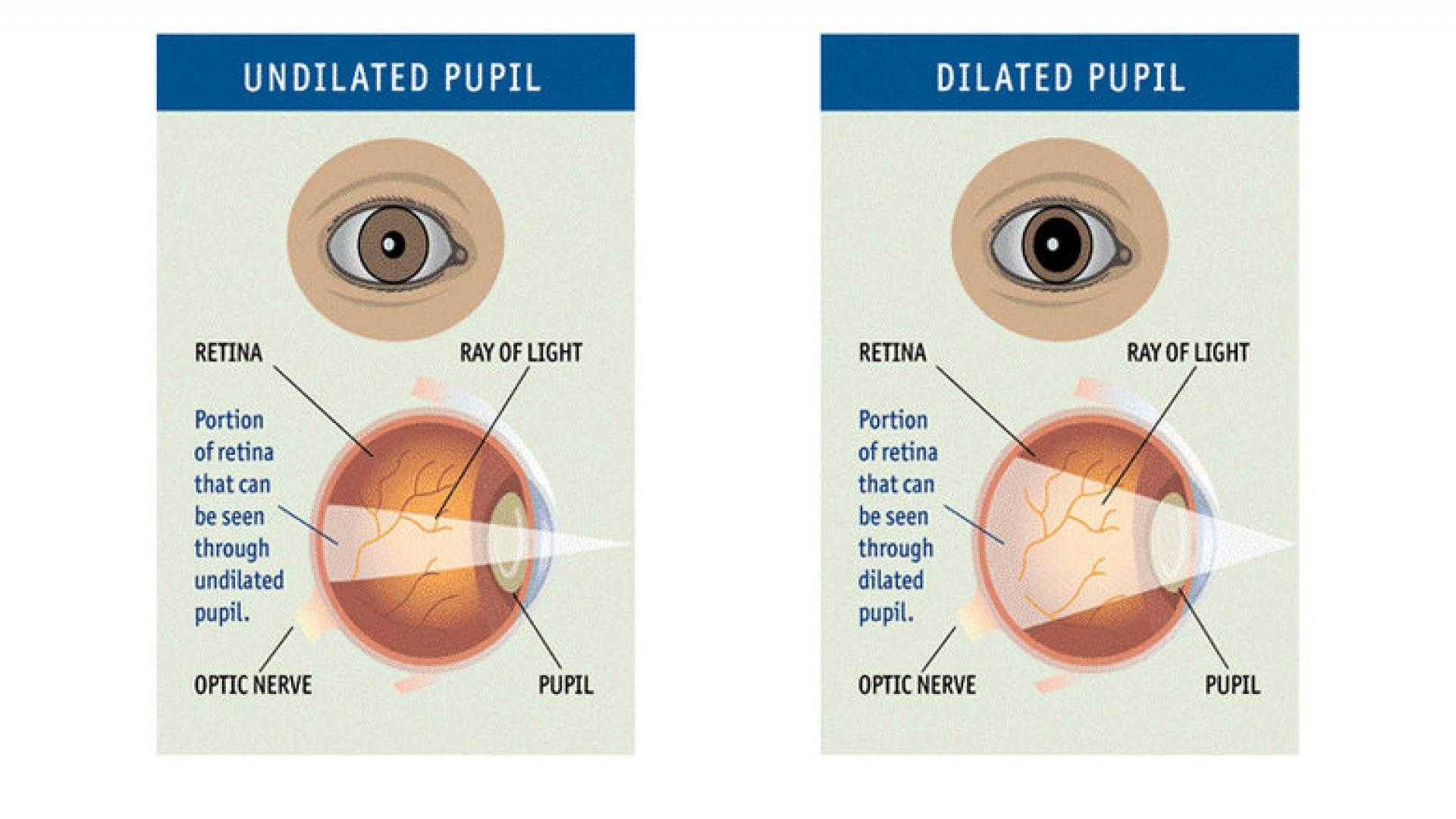 Choosing the Right Devices for Optical Biometry in Cataract Surgery ...